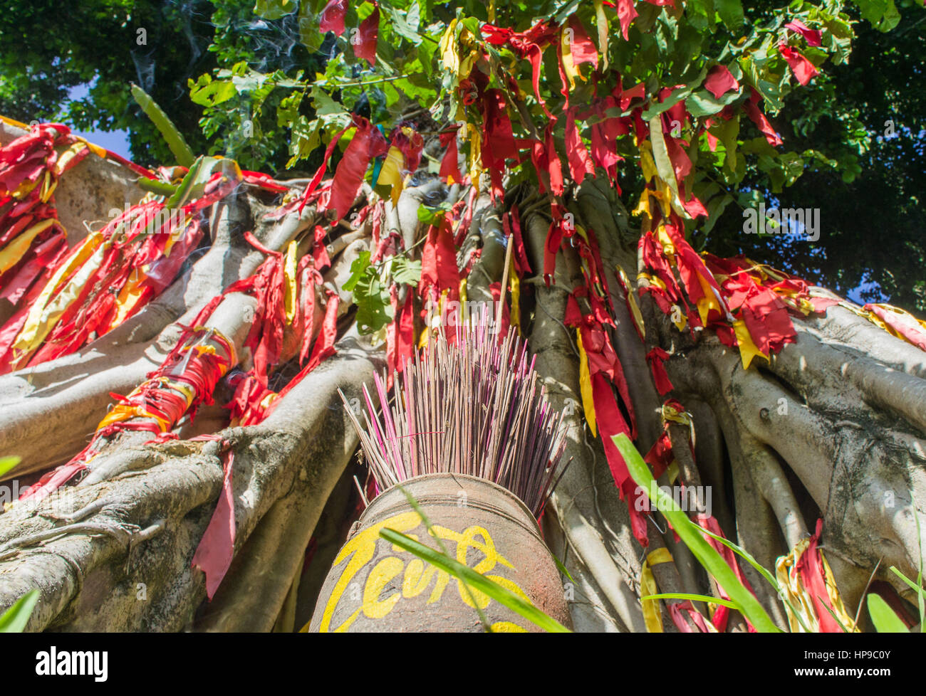 Pagan roots hi-res stock photography and images - Alamy