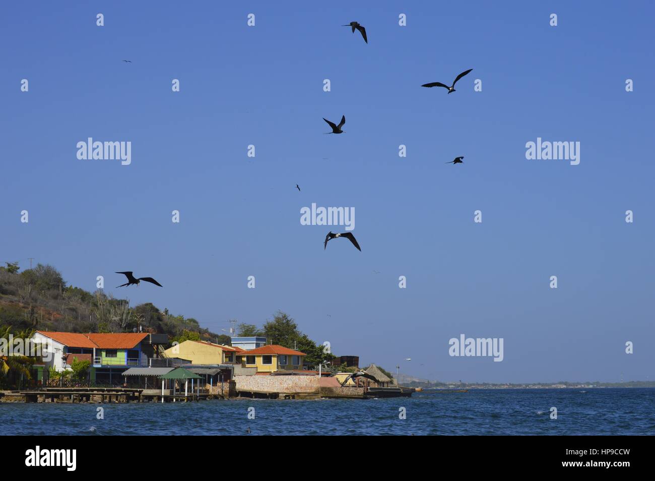 Gulf of cariaco hi-res stock photography and images - Alamy