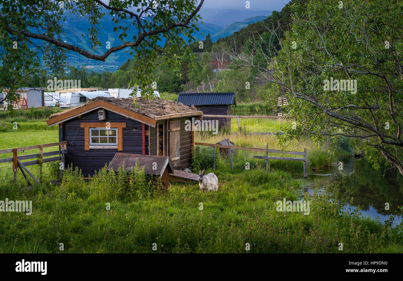 Goat and wooden cabin Stock Photo - Alamy