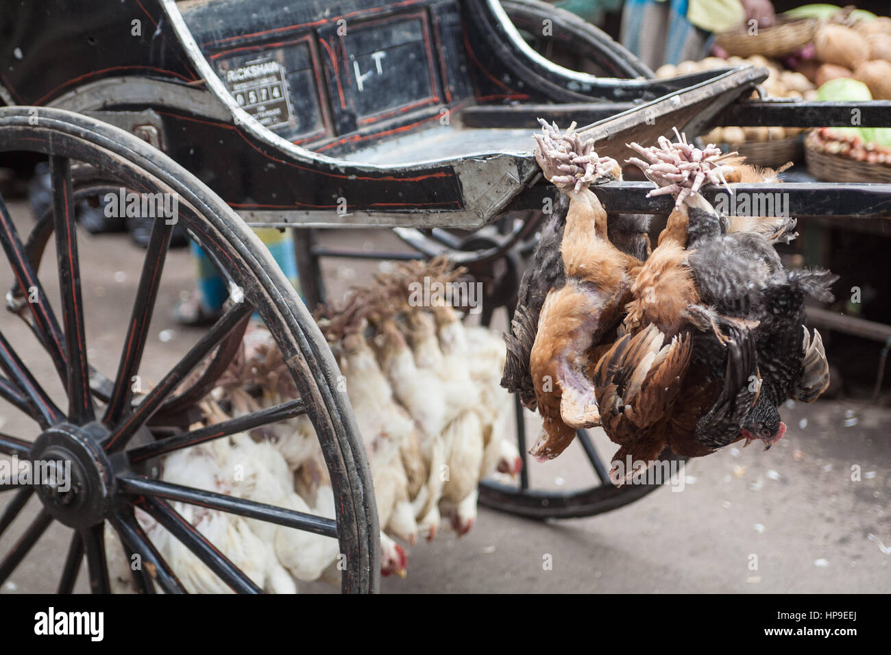 India chicken transport hi-res stock photography and images - Alamy