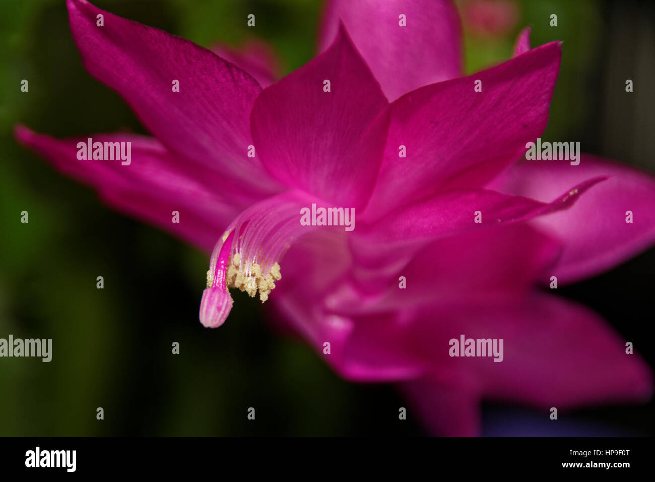 Inner deco hi-res stock photography and images - Alamy