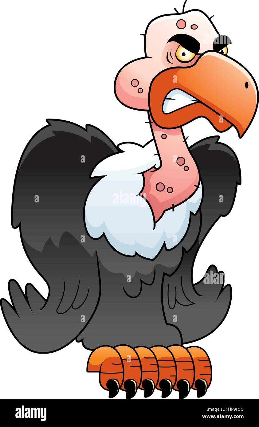 Vulture Cartoon