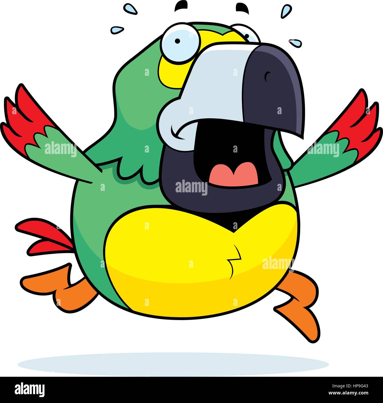 A cartoon parrot running in a panic Stock Vector Image & Art - Alamy