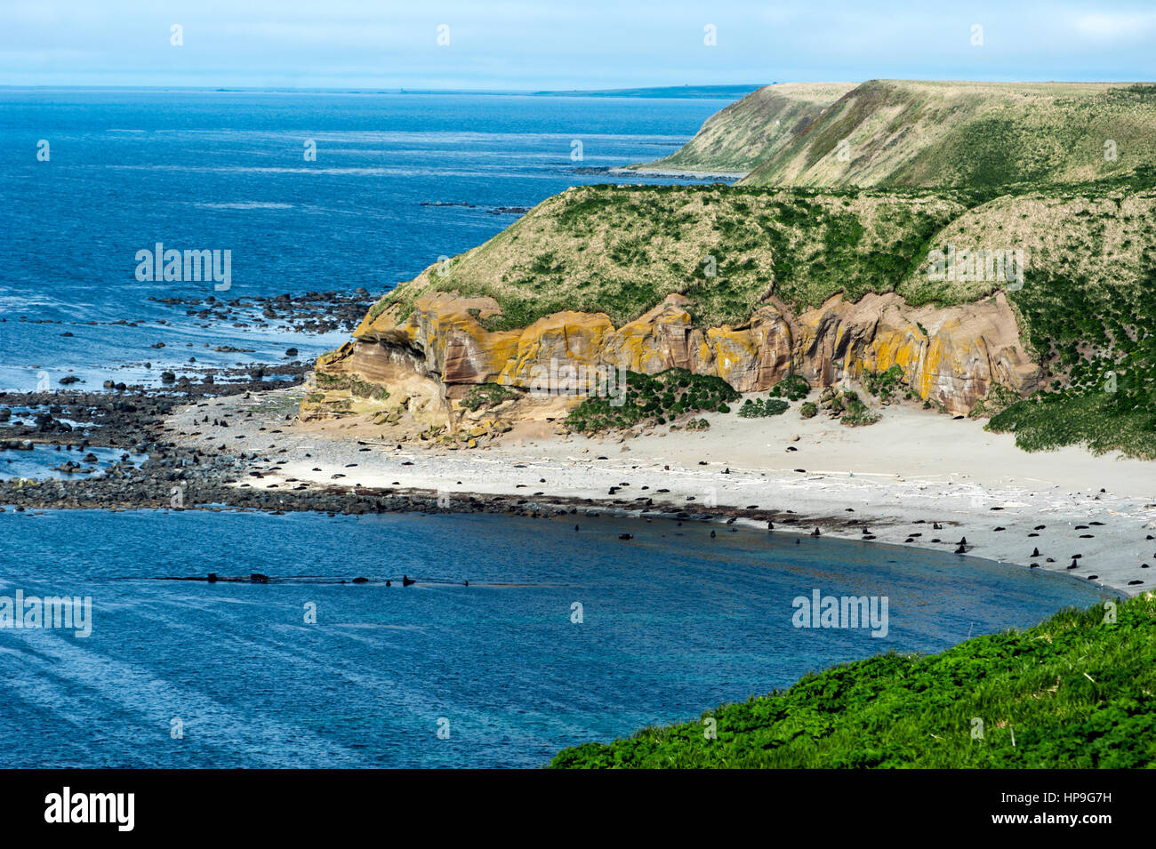 Commander islands hi-res stock photography and images - Alamy
