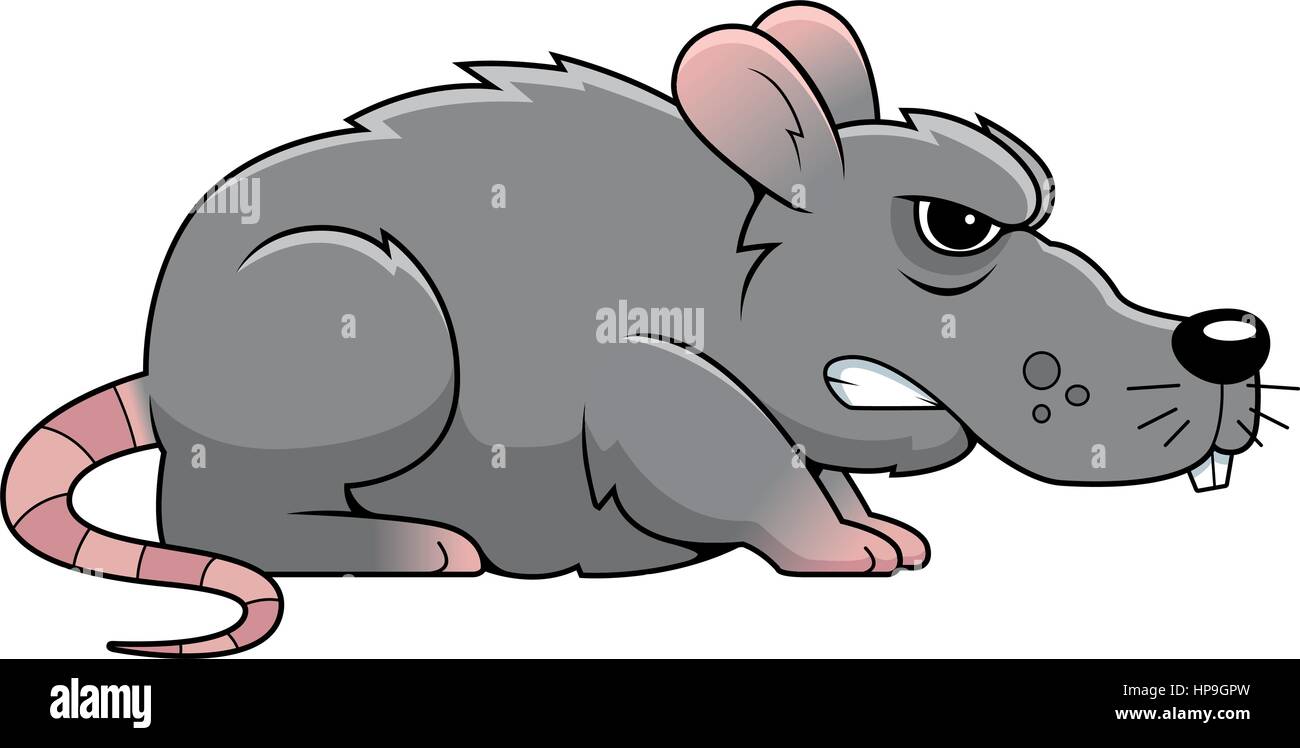 A cartoon gray rat with an angry expression Stock Vector Image & Art ...