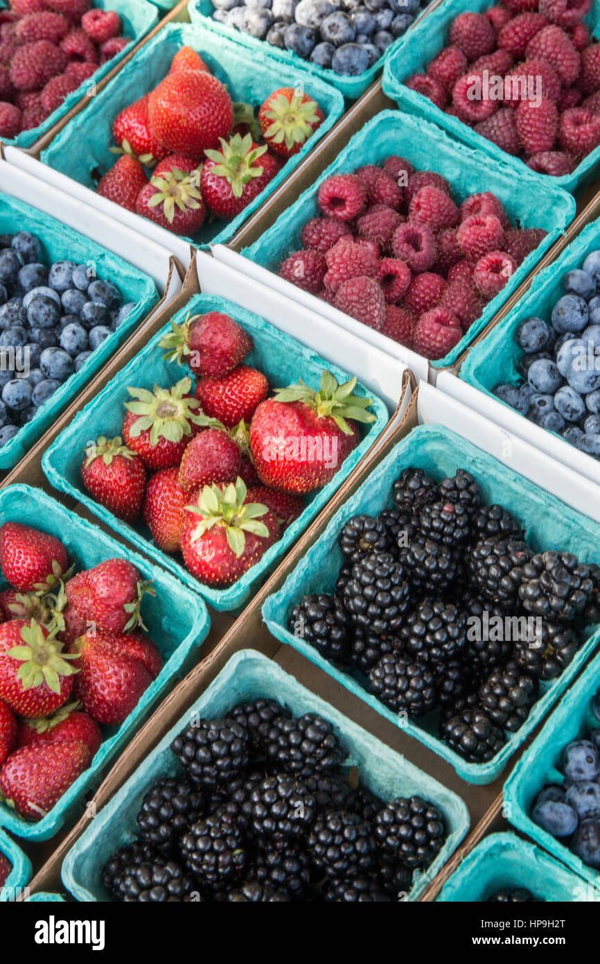 Blueberry pint hi-res stock photography and images - Alamy