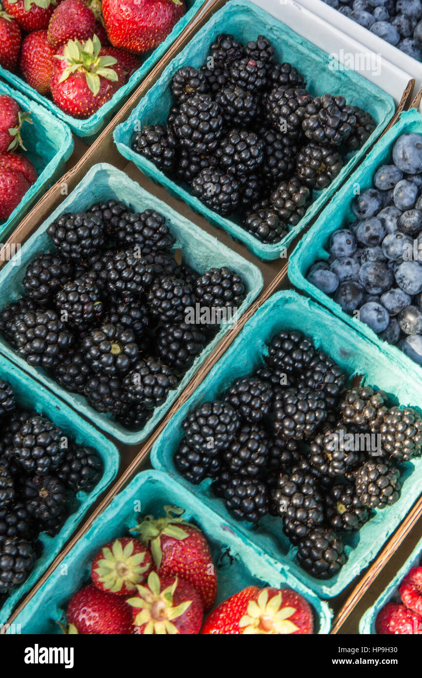 Blueberry pint hi-res stock photography and images - Alamy