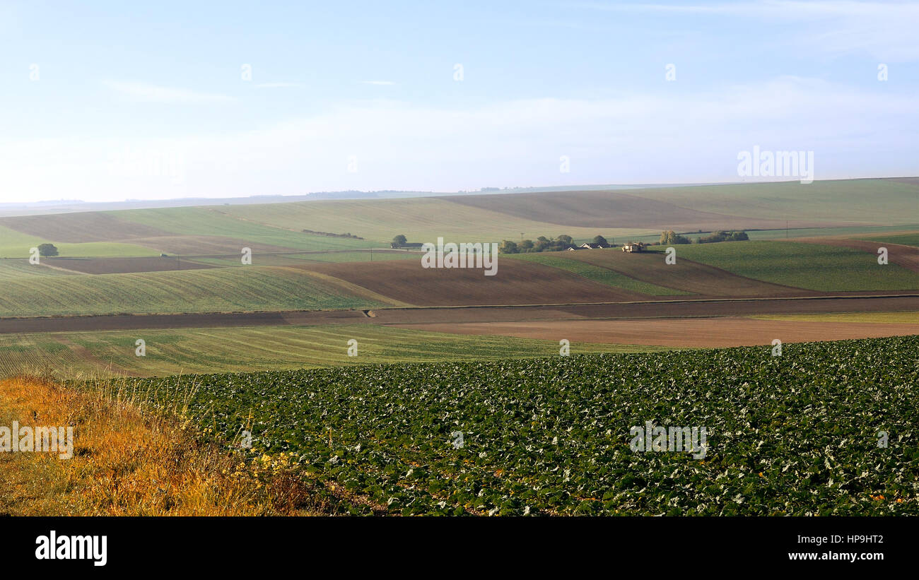 Cultivated farm field landscape Stock Photo - Alamy