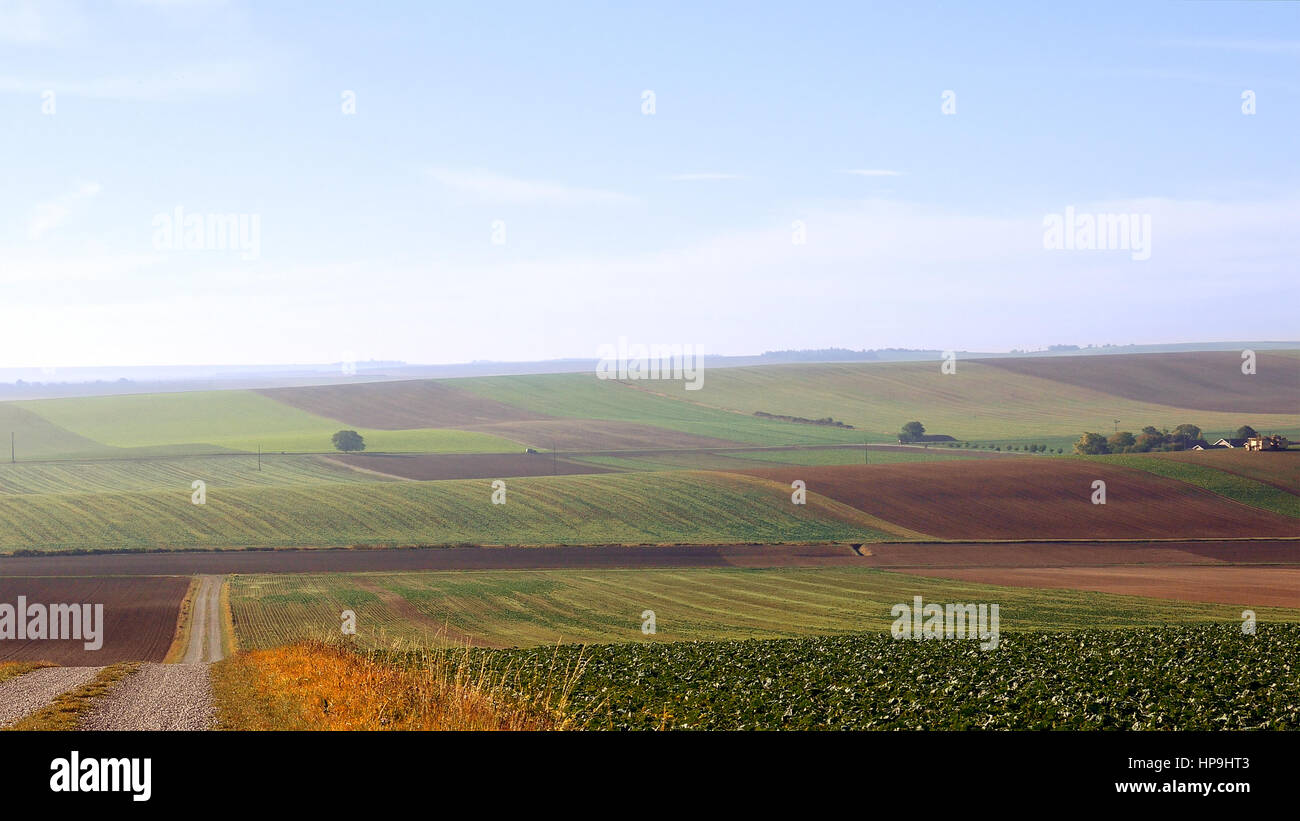 Cultivated farm field landscape Stock Photo - Alamy