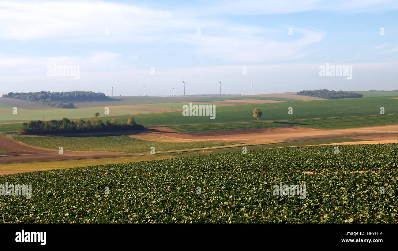 Cultivated farm field landscape Stock Photo - Alamy