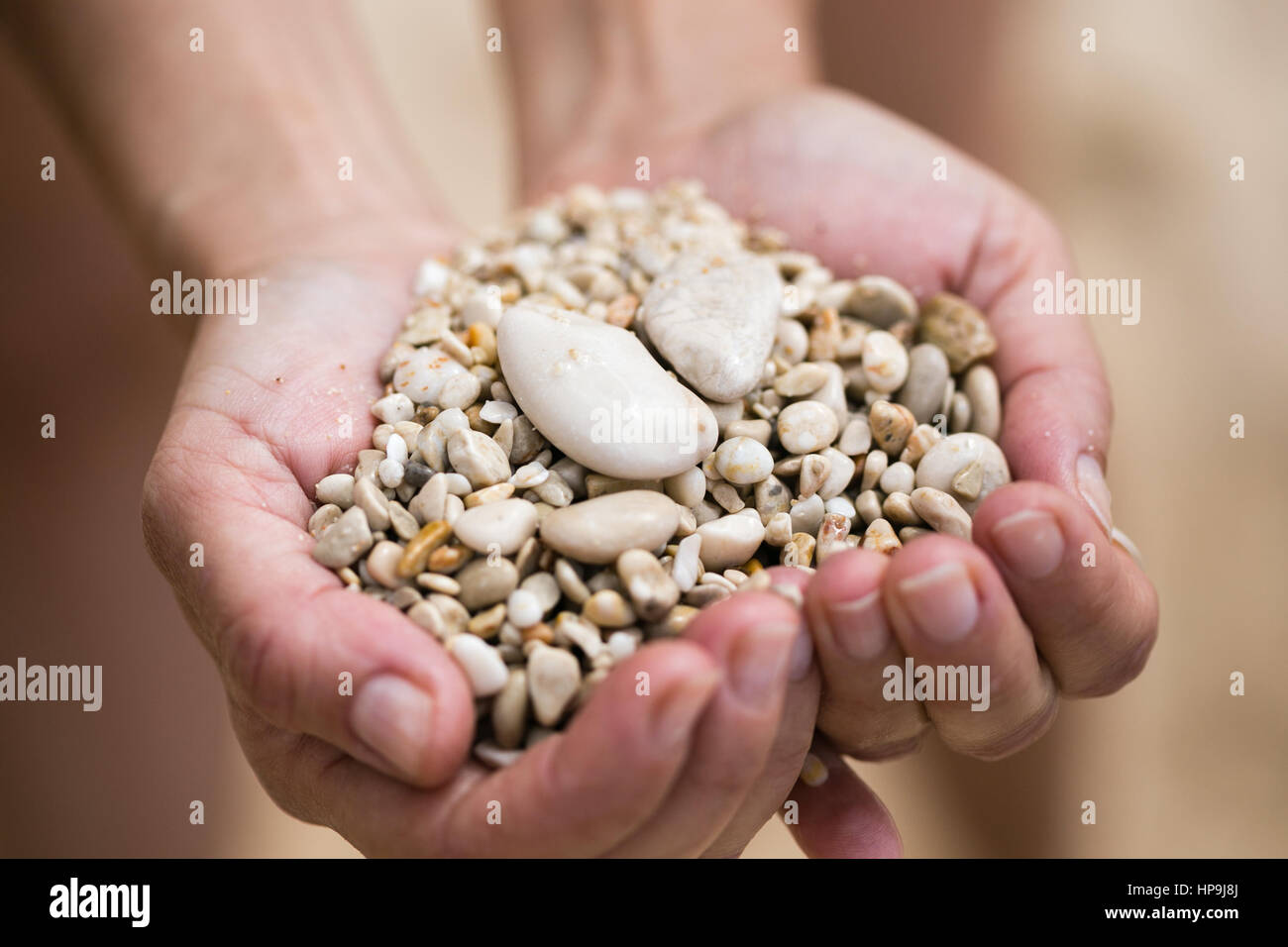 Close up of woman hands holding pebble of mixed white biege and ...