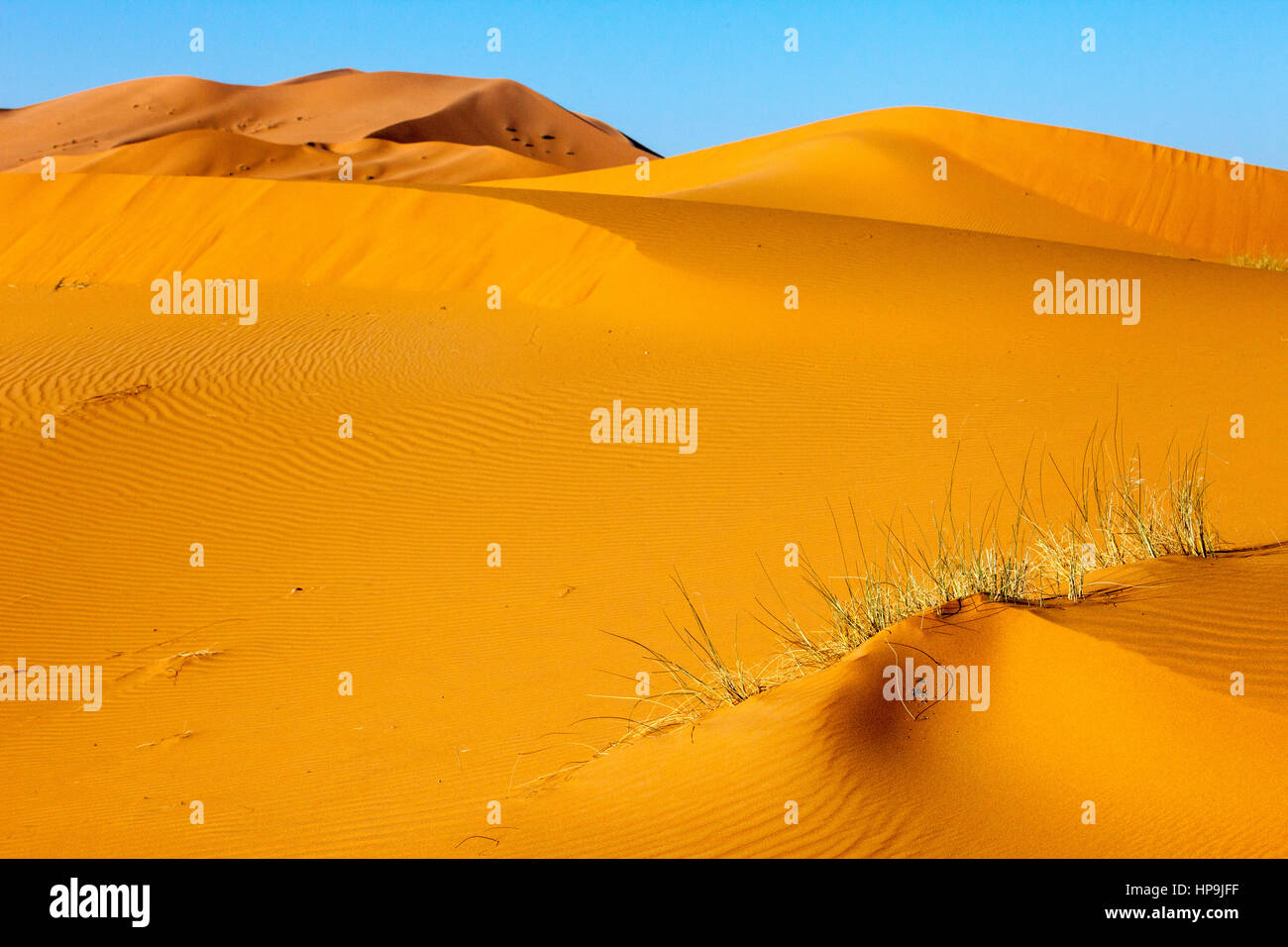 Saharan desert landscape hi-res stock photography and images - Alamy
