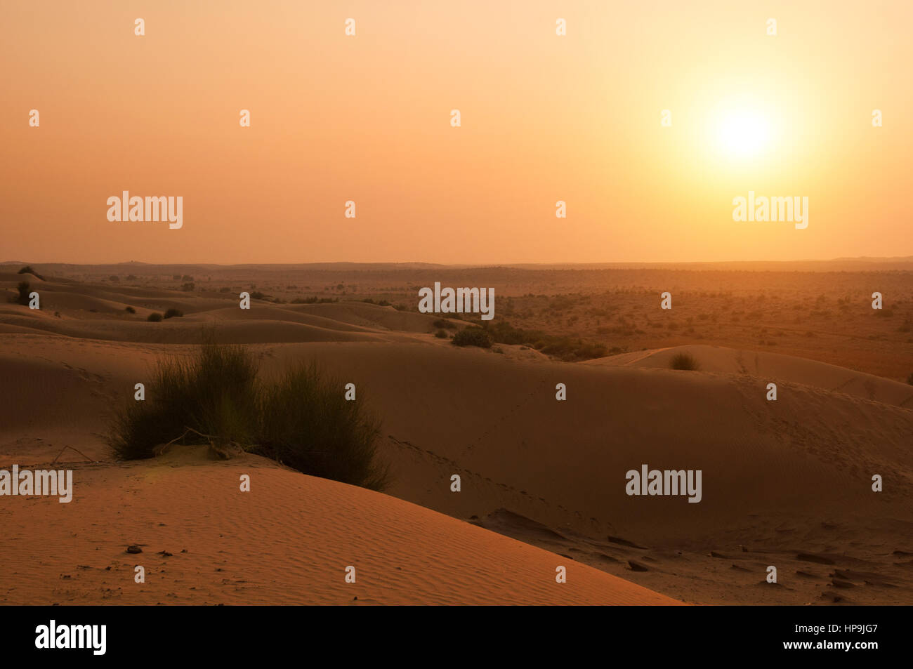 thar desert of rajasthan, india Stock Photo - Alamy