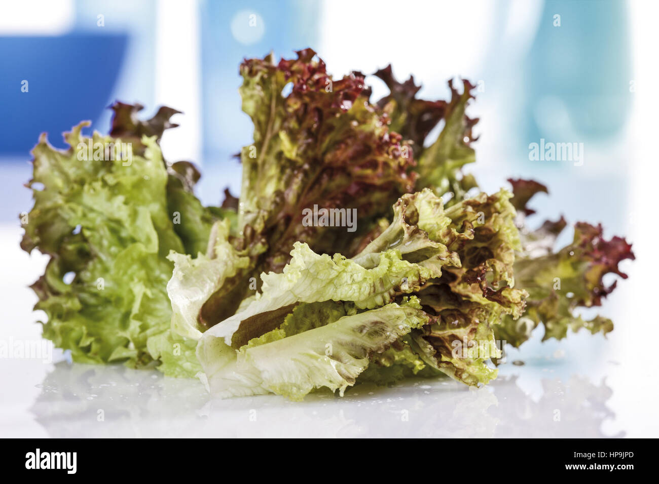 Lollo Rosso Salatblaetter Stock Photo - Alamy