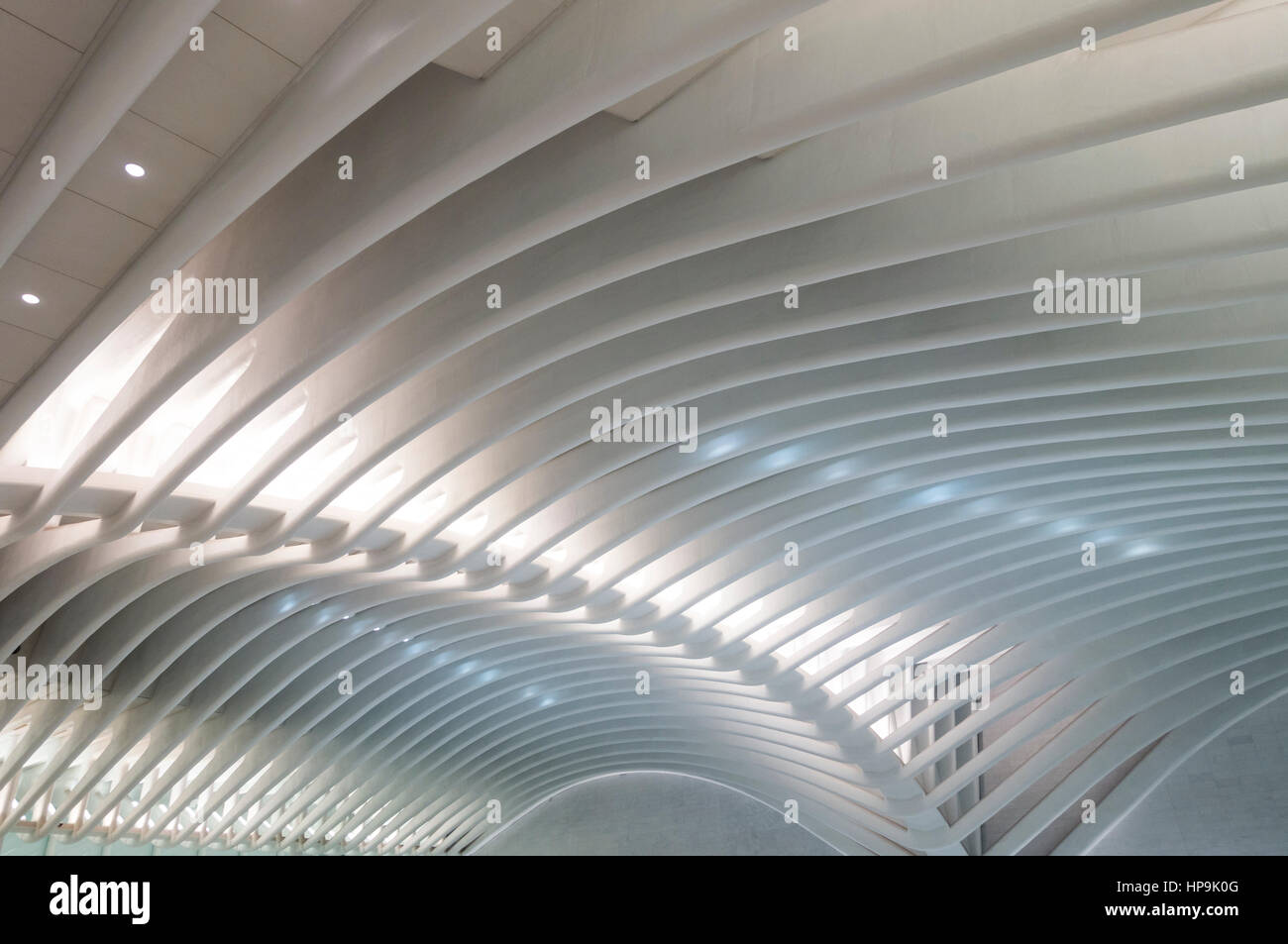 Ceiling of the PATH area of the Transportation Hub of the World Trade ...