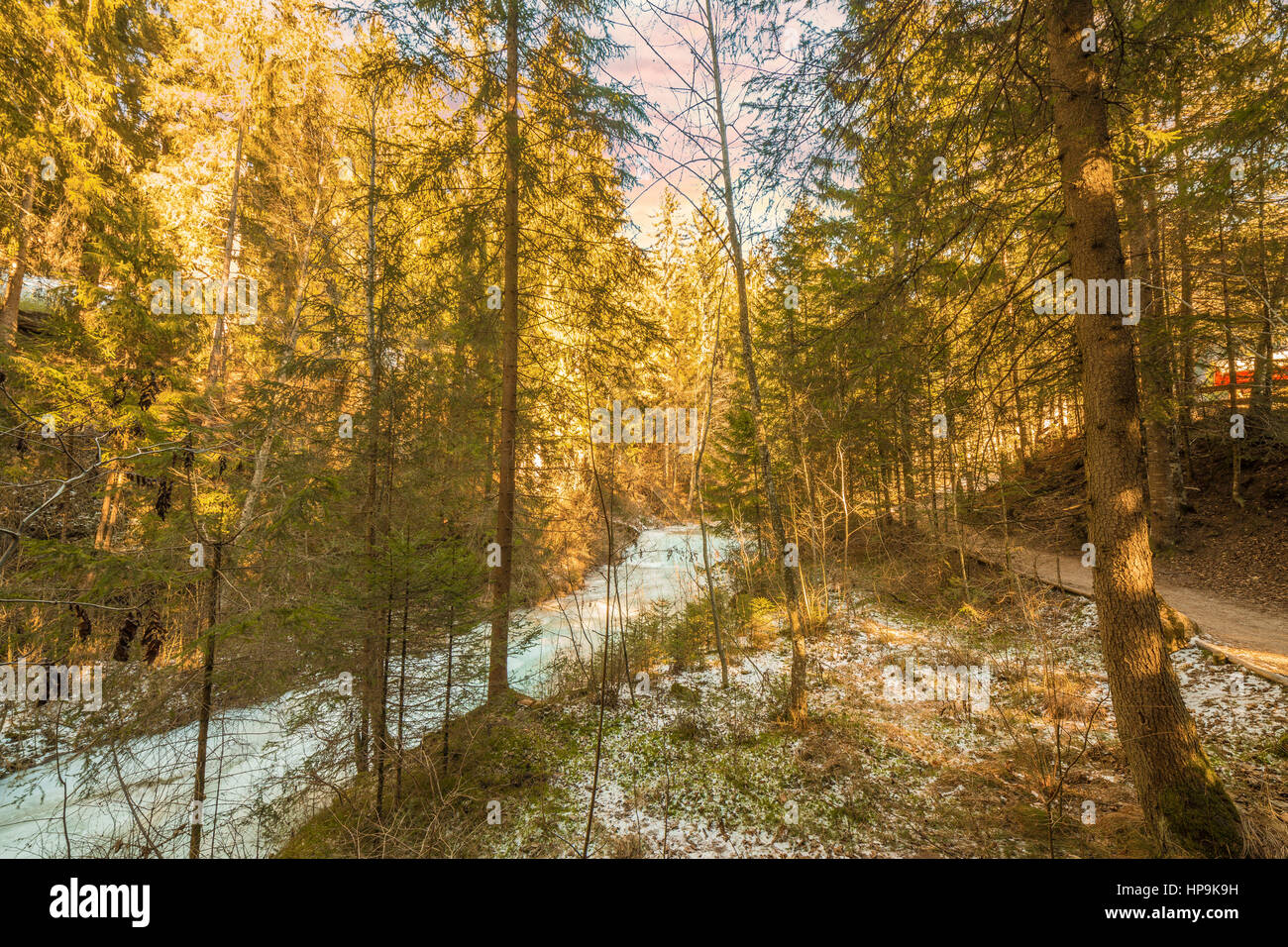 frozen brook in the forest in the mountains Stock Photo - Alamy