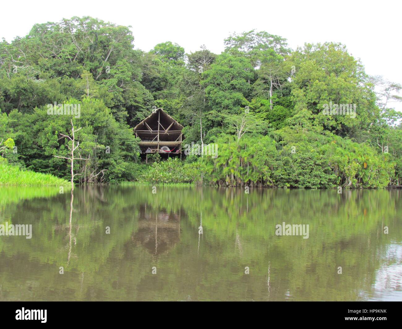 Napo river hi-res stock photography and images - Alamy