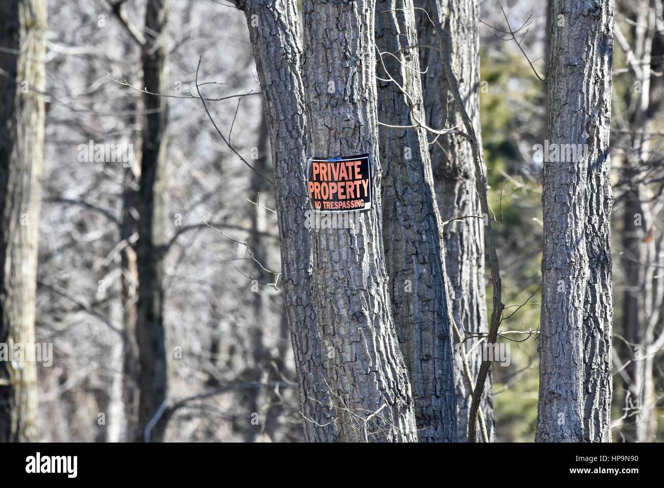 Private property no trespassing sign on tree Stock Photo - Alamy