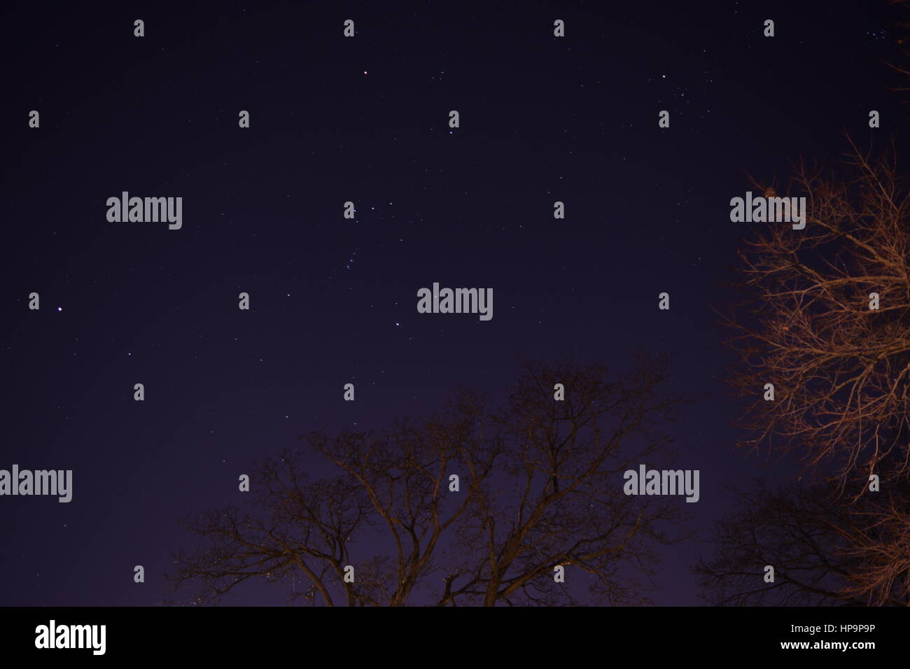 Delphinus The Sky In Autumn