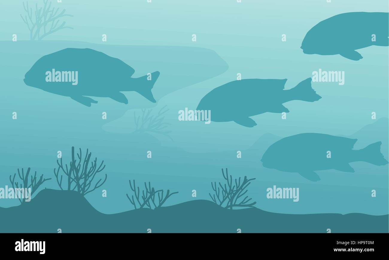 Silhouette of fish and reef landscape on underwater vector art Stock ...