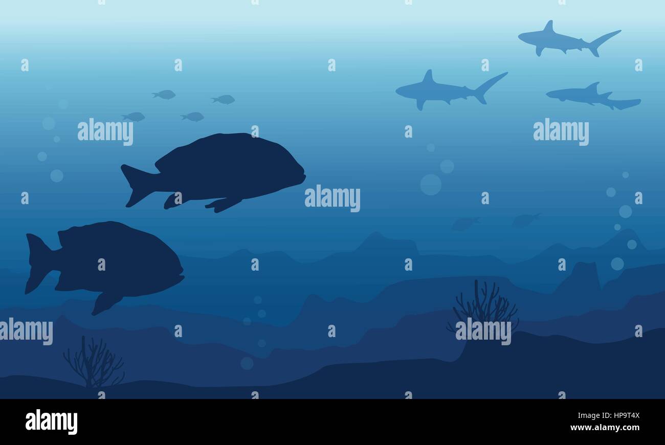 Landscape of underwater and fish silhouettes vector art Stock Vector ...
