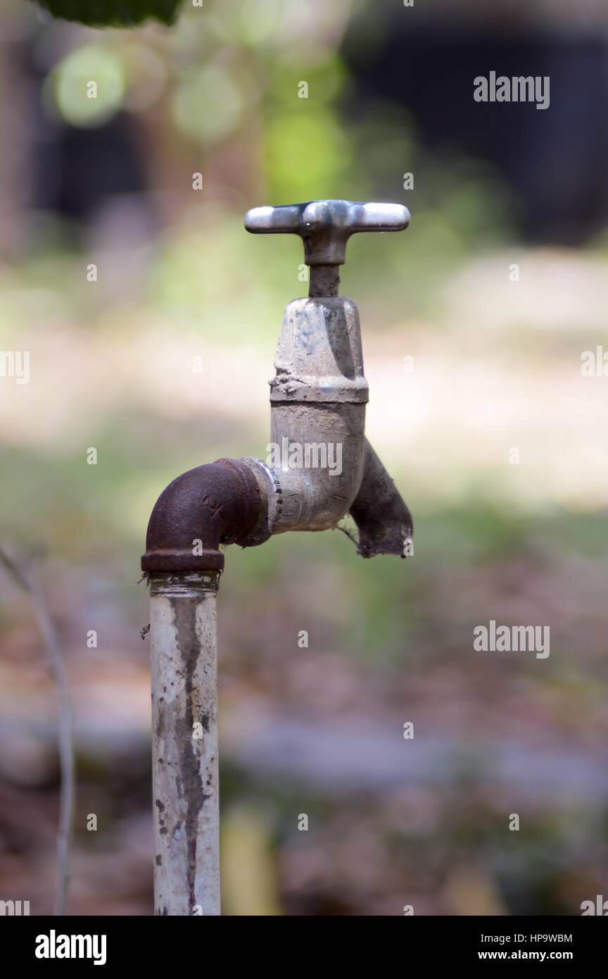 Water supply tap in the garden on a half inch pipe Stock Photo - Alamy