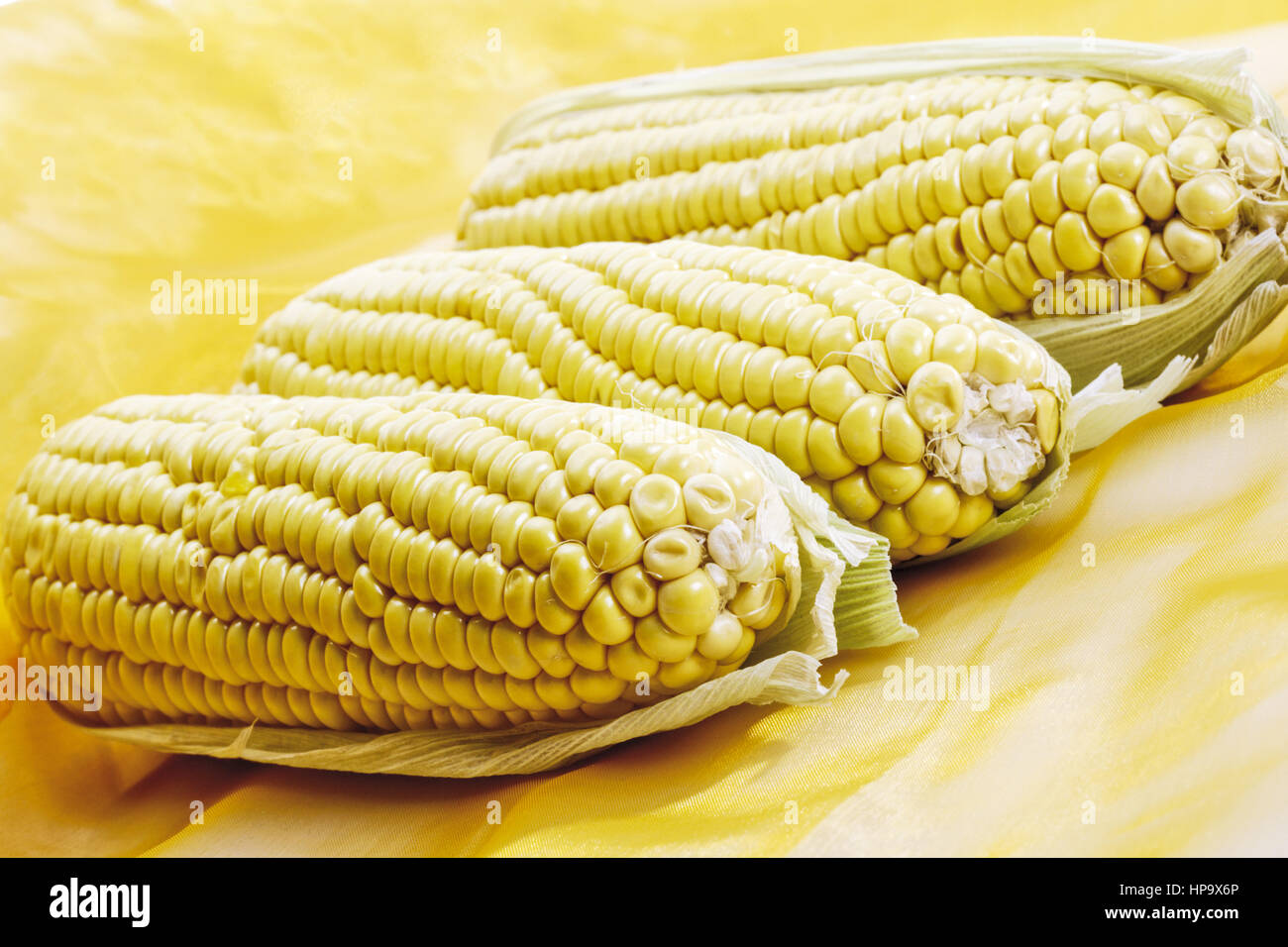 Maiskolben hi-res stock photography and images - Alamy