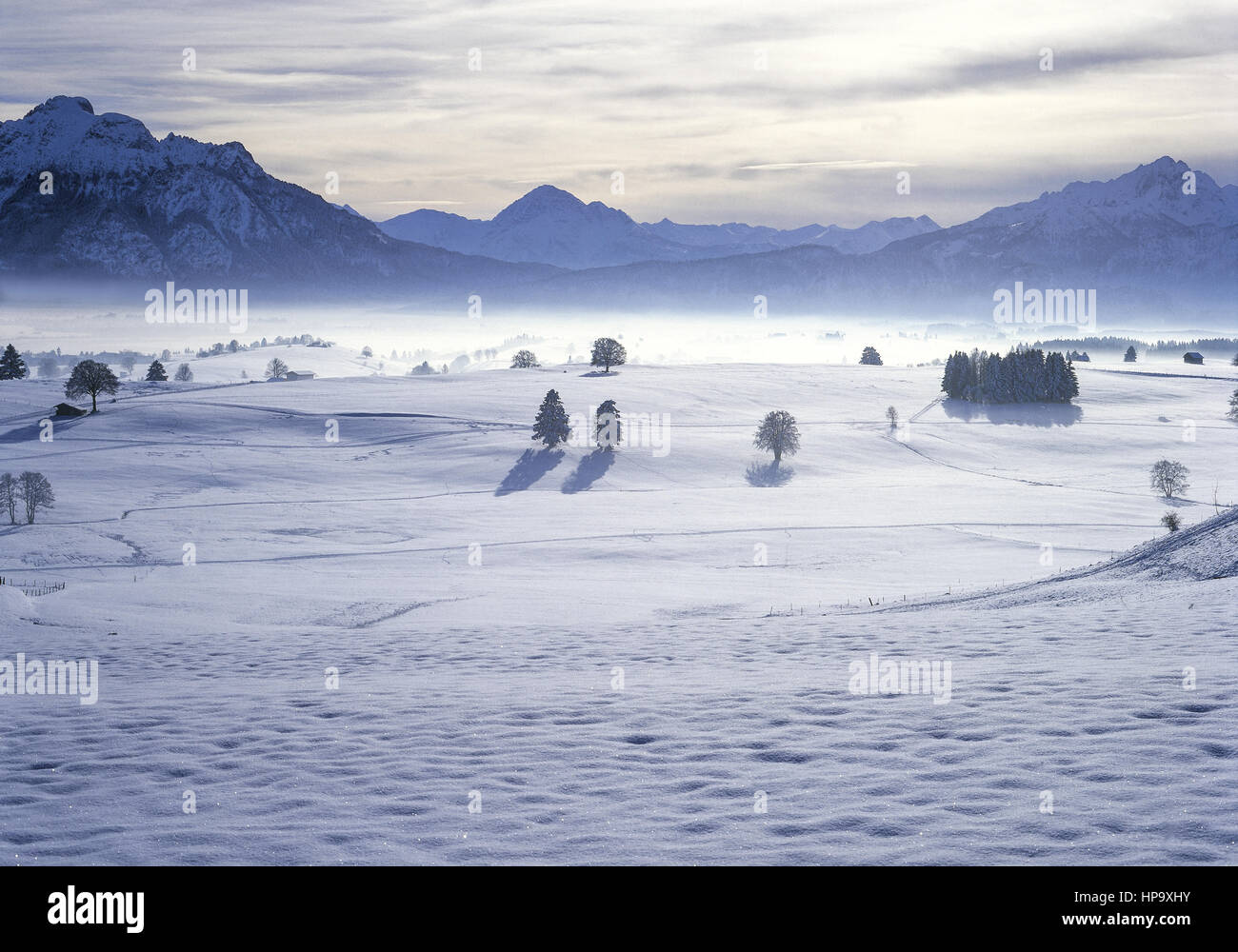 Winterlandschaft im Allgaeu Stock Photo - Alamy