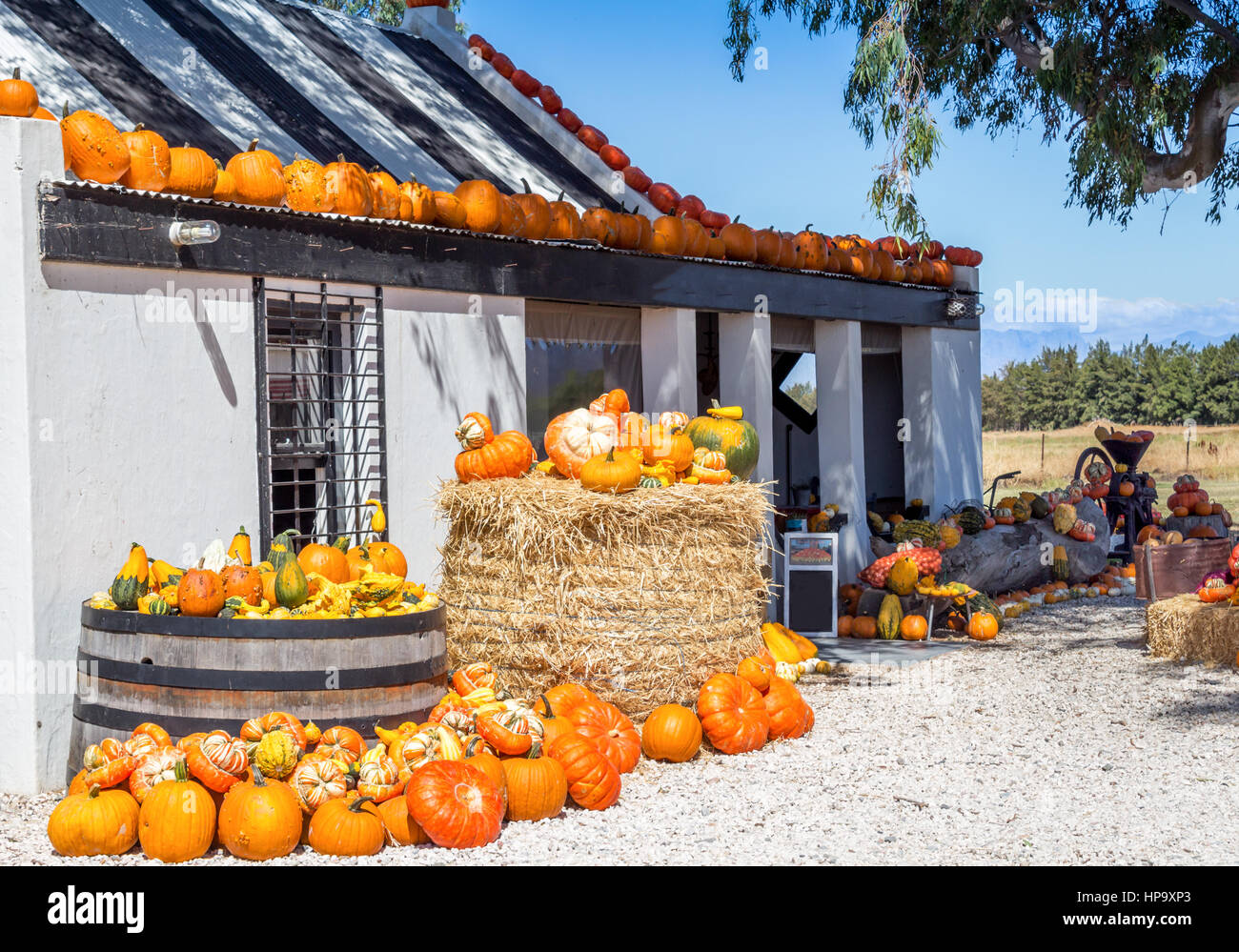 Hp9xp3 hi-res stock photography and images - Alamy