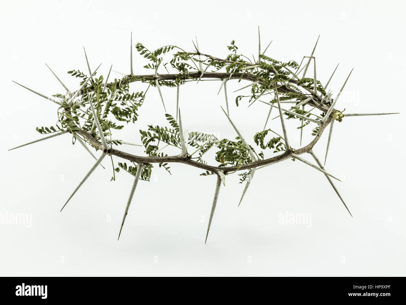 Crown of thorns with leaves - conceptual of Jesus Christ crucifixion ...