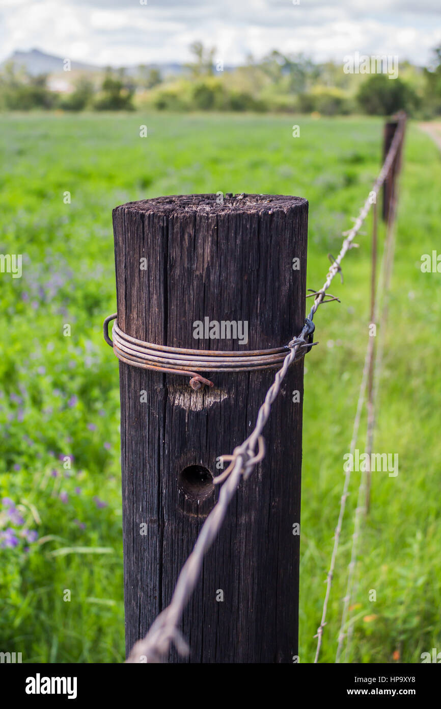Weather beaten wood hi-res stock photography and images - Alamy
