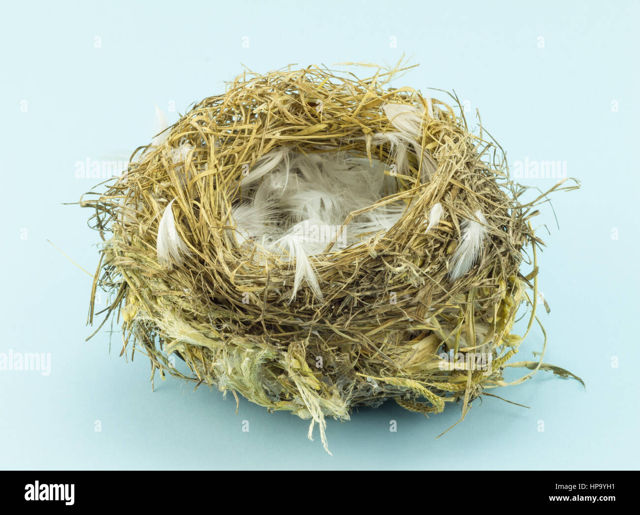 Empty nest feathers hi-res stock photography and images - Alamy