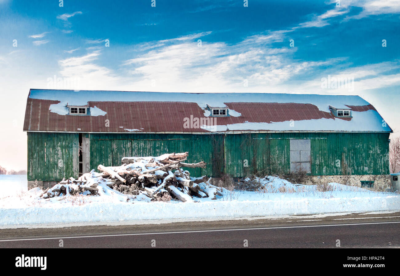 Old green barn on farm with stack of logs in front that are covered in ...