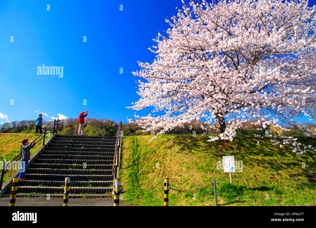Tama river embankment hi-res stock photography and images - Alamy