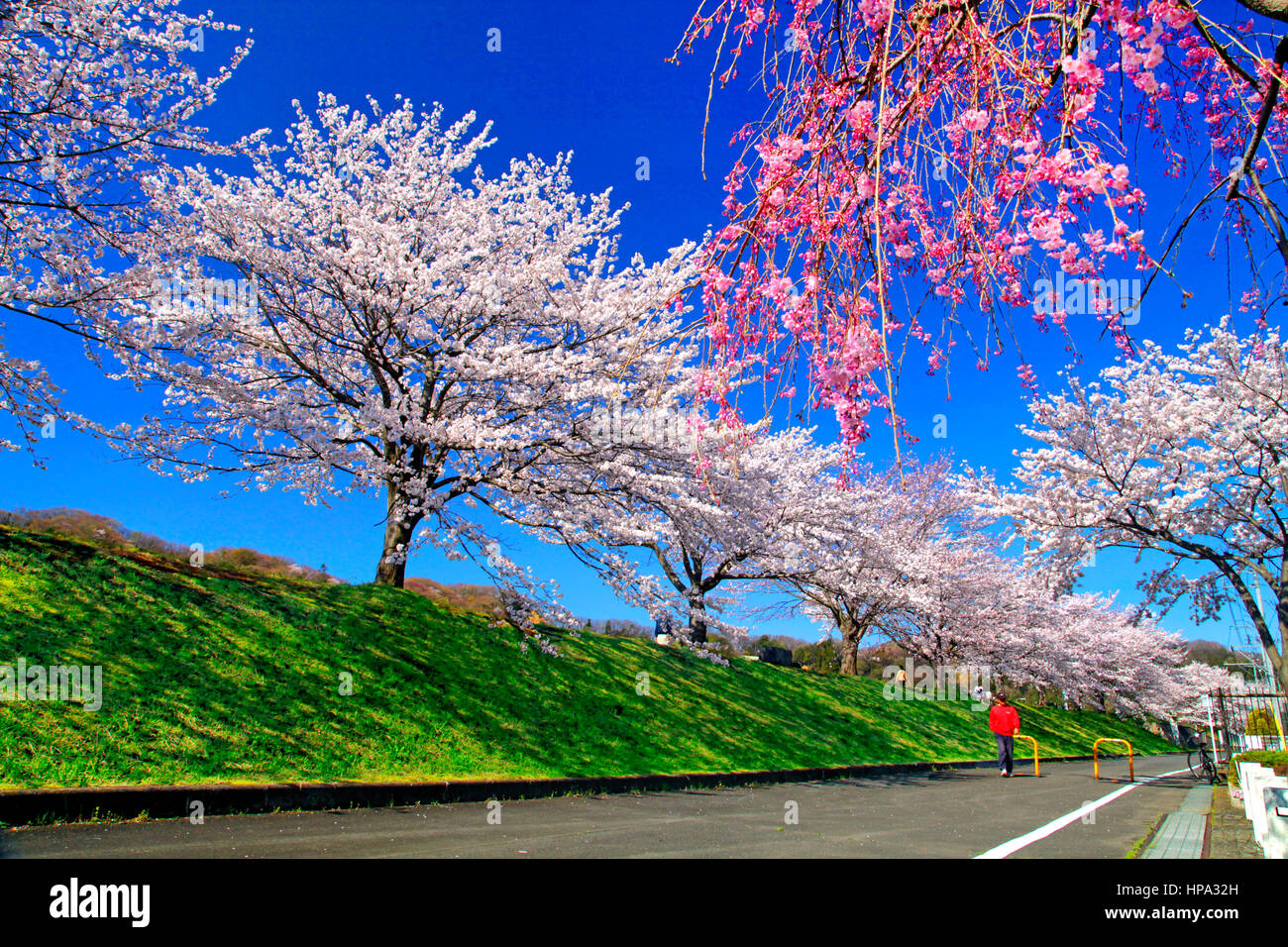 Tama river embankment hi-res stock photography and images - Alamy
