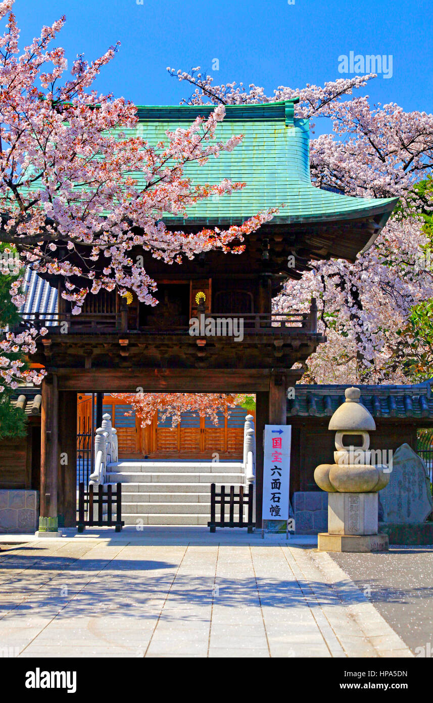 Fusaiji Temple Tachikawa city Tokyo Japan Stock Photo - Alamy
