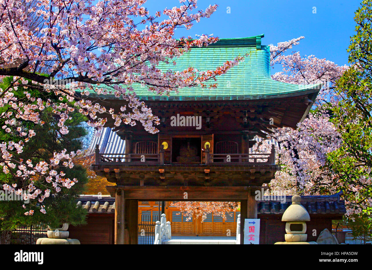 Tachikawa city hi-res stock photography and images - Alamy