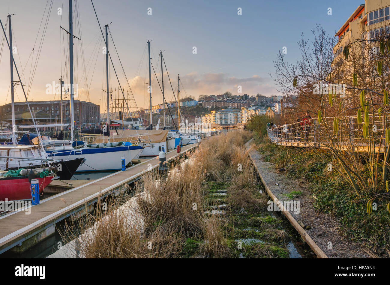 Boat and reeds hi-res stock photography and images - Alamy