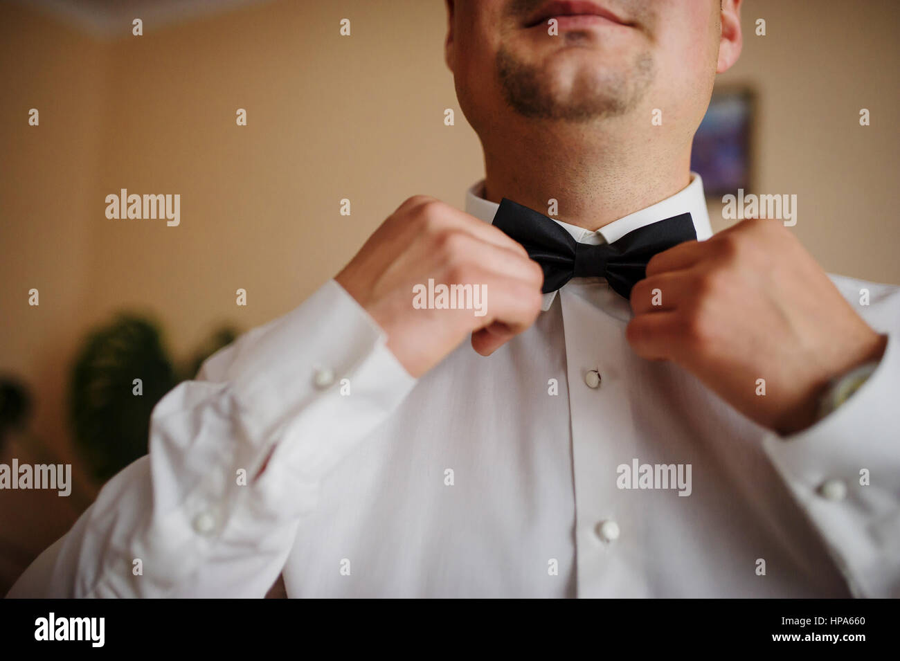Man wear bow tie. Groom at wedding day Stock Photo - Alamy