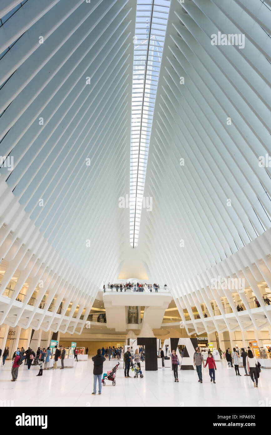 One World Trade Center is visible through the skylight in the Oculus ...