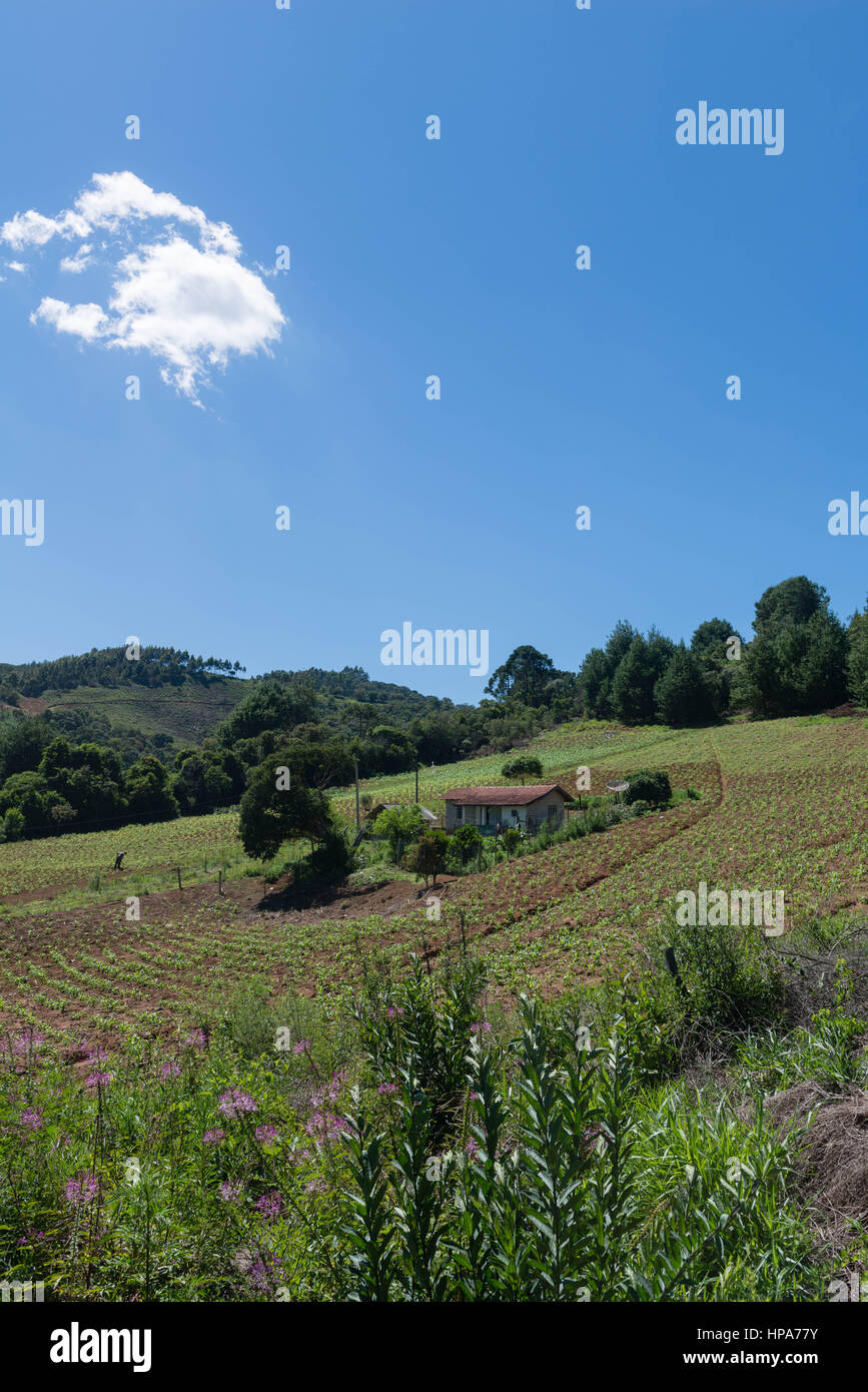 Mantiqueira mountains hi-res stock photography and images - Alamy