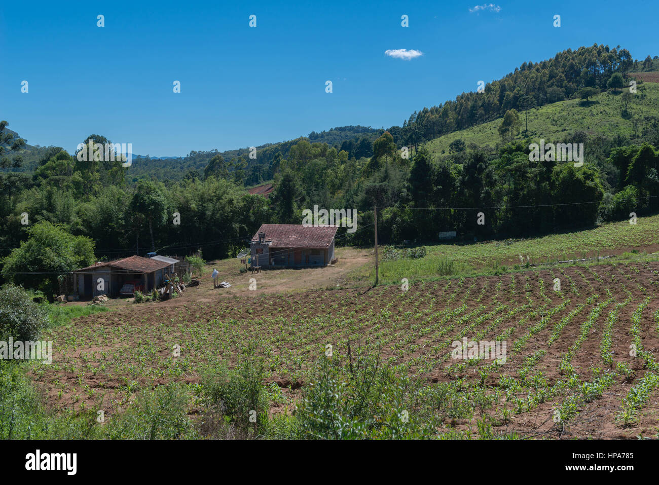 Brazilian farm house hi-res stock photography and images - Alamy