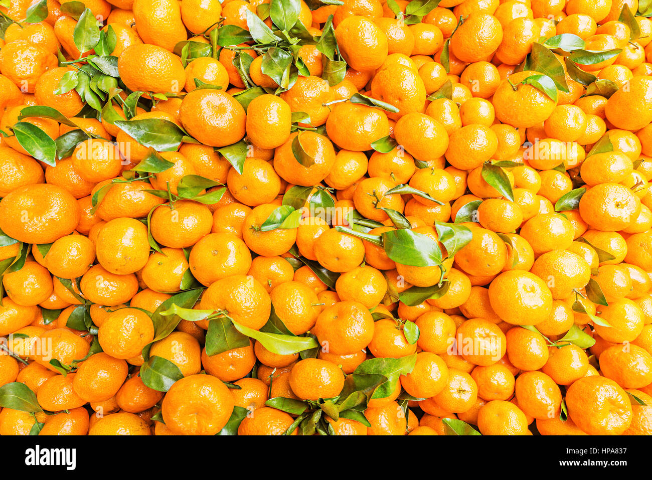 Fresh mandarin orange background on the fruit market showcase Stock ...