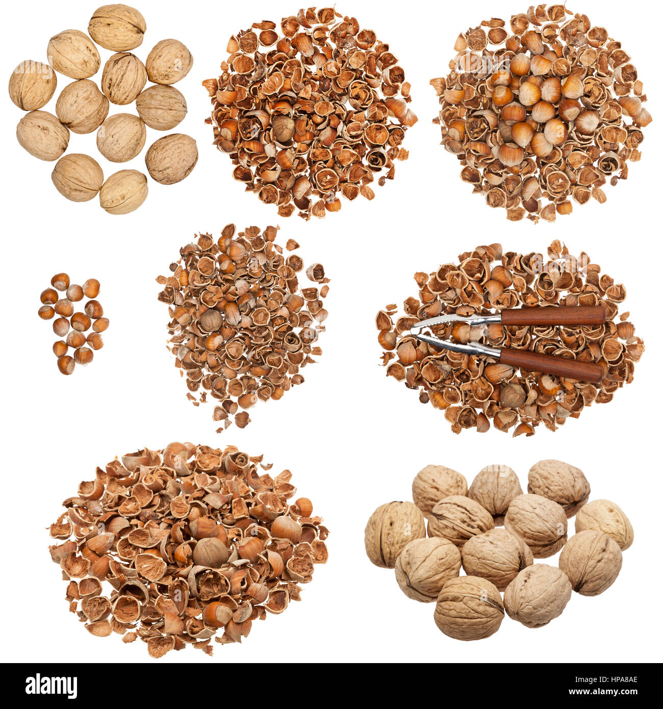 Collection of nuts and empty nutshells isolated on white background ...