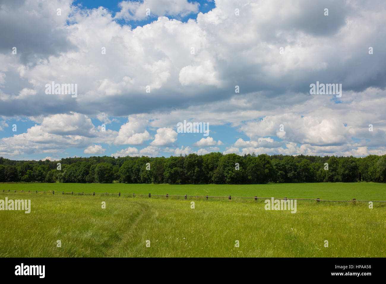 Green pastures of horse farms. Countryside spring landscape Stock Photo ...