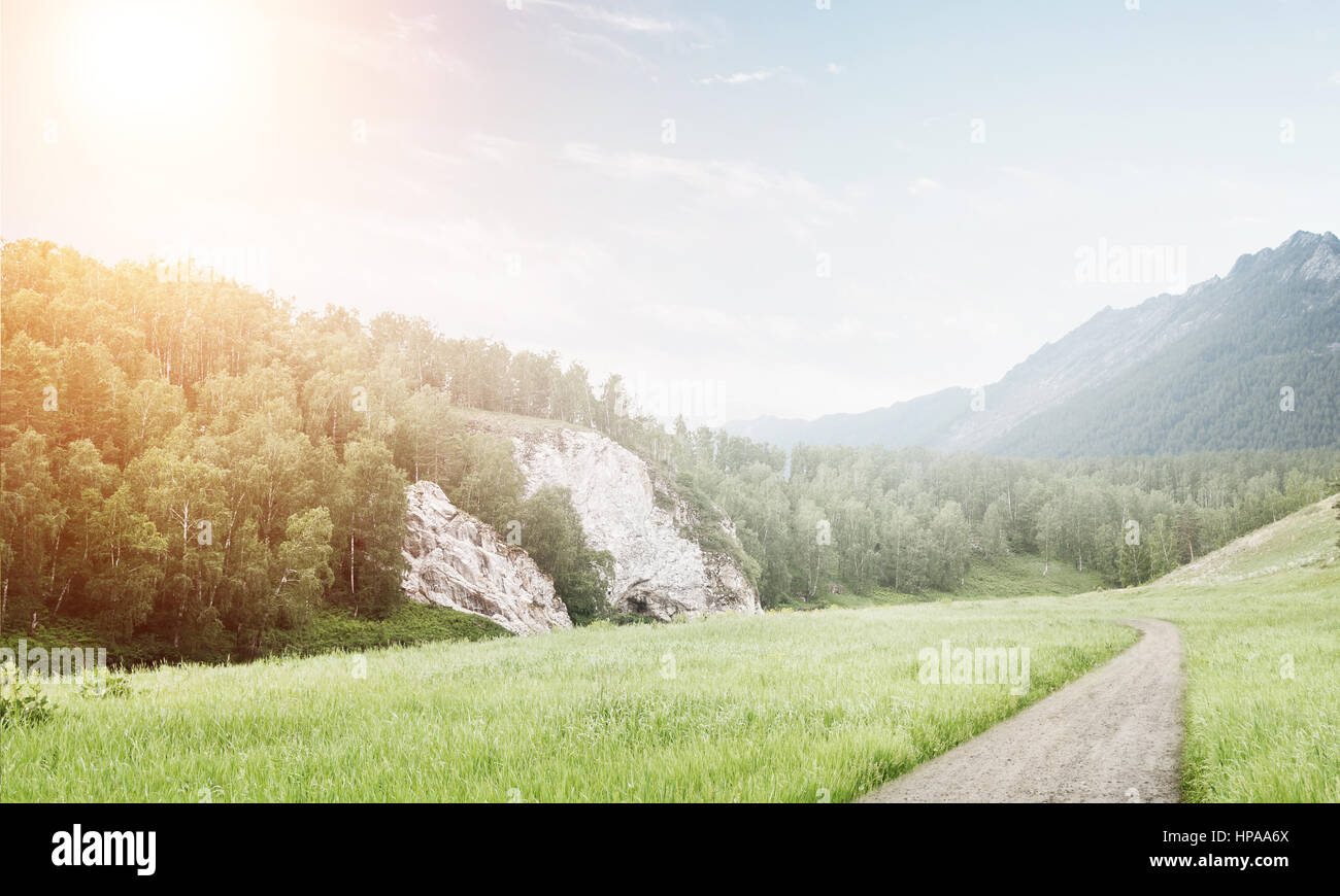 Natural landscape with green field in lights of summer sun Stock Photo ...