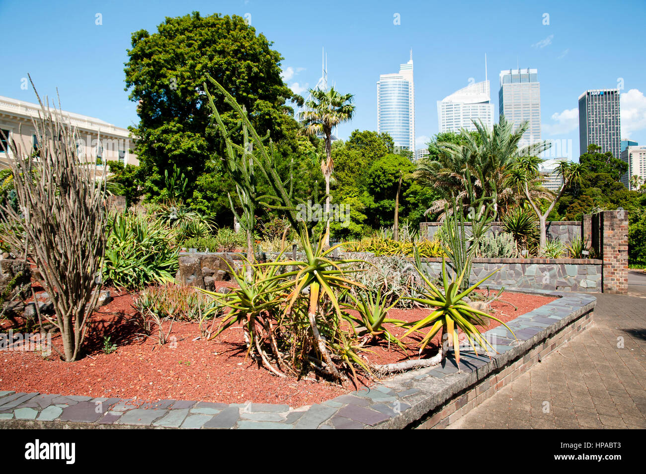 Botanical Garden - Sydney - Australia Stock Photo - Alamy