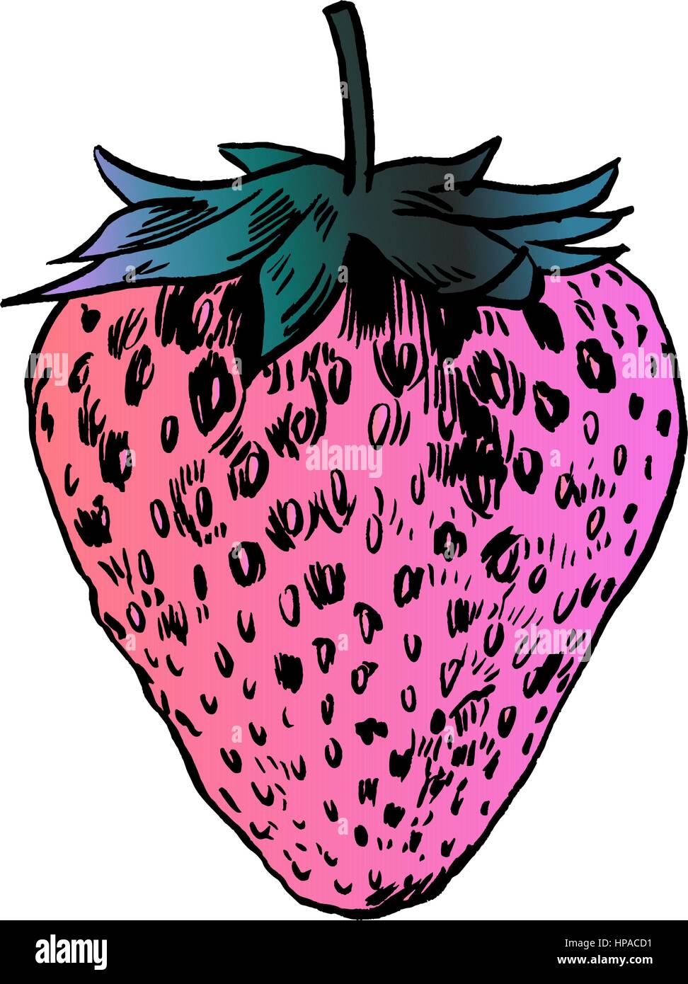 Strawberry seed garden Stock Vector Images - Alamy