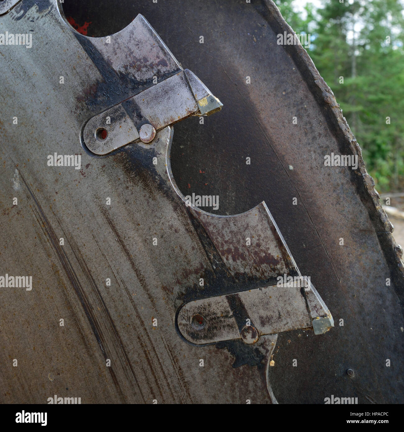 Closeup of Log Slasher Cutoff Saw Teeth Stock Photo - Alamy