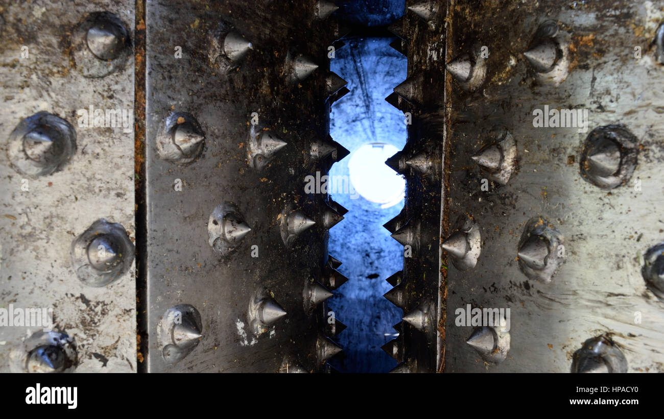 Logging equipment stroke delimber hi-res stock photography and images ...